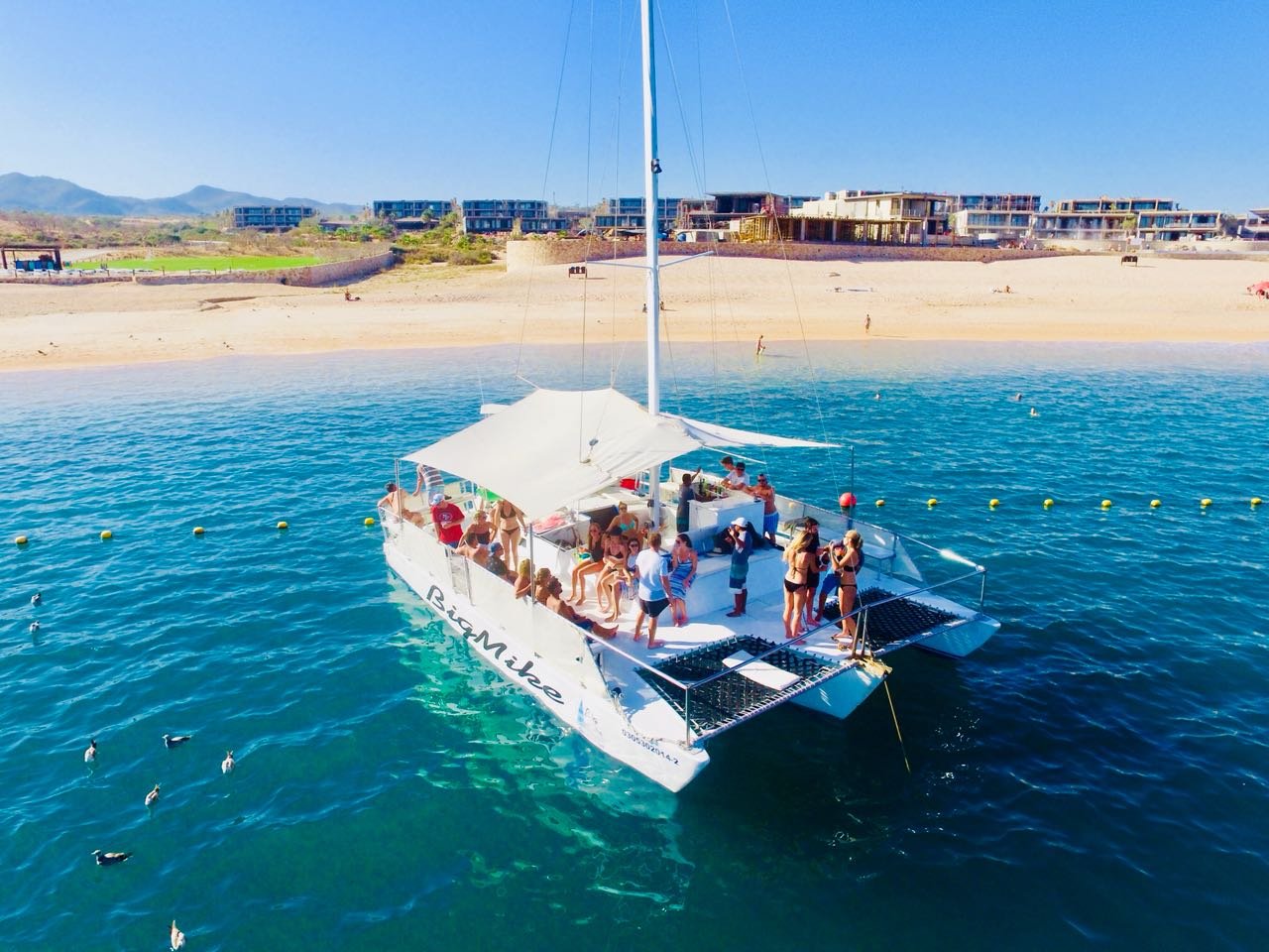 ALFA 45 CATAMARAN BM - Catalogue